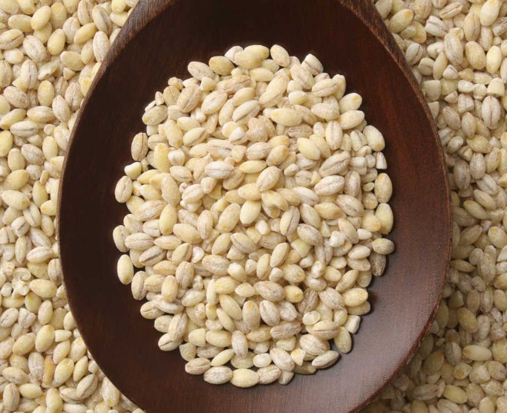 Cebada | Cook for Your Life