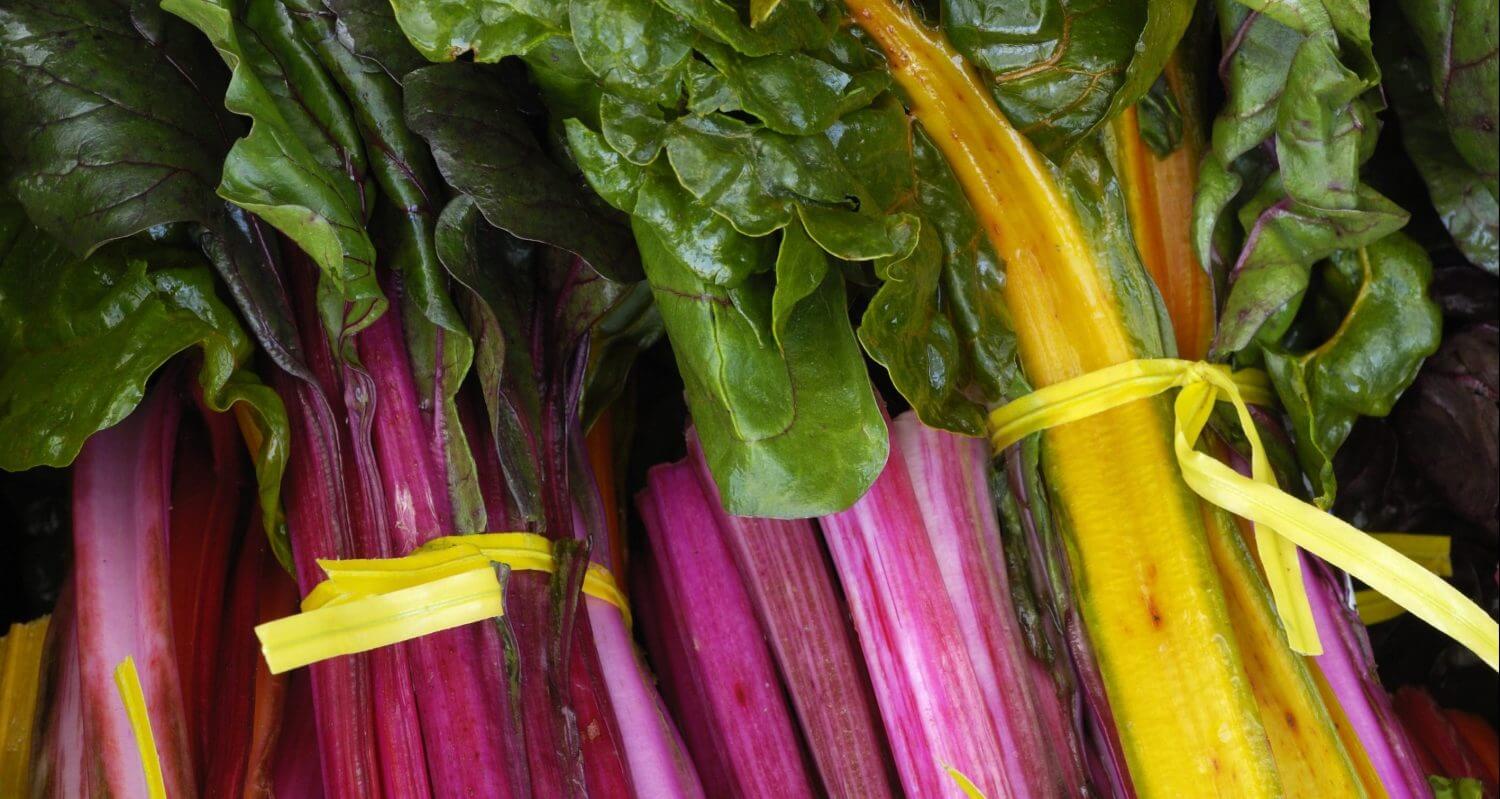 Acelgas al Vapor | Cook for Your Life