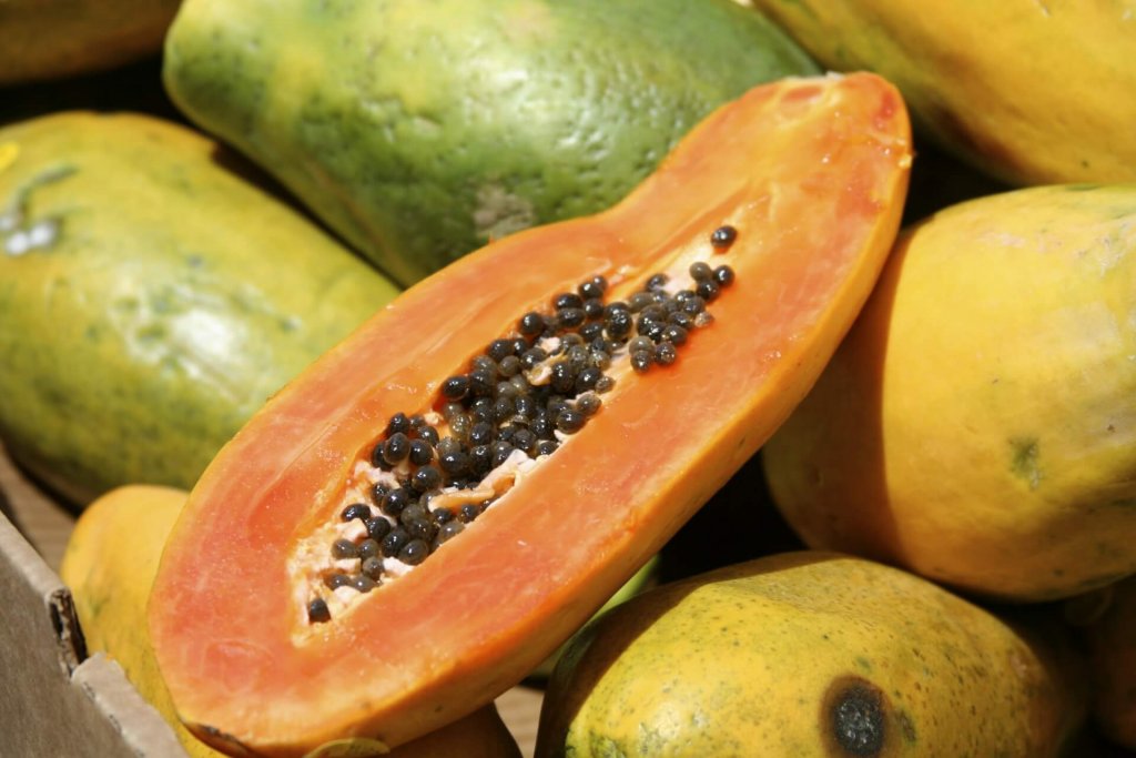 Papaya | Cook for Your Life