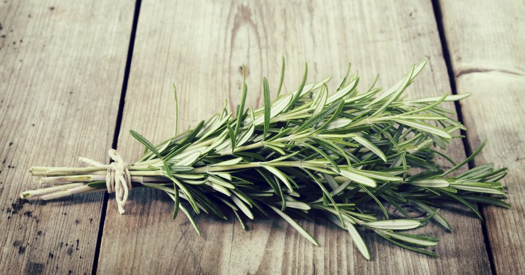 Romero | Cook for Your Life