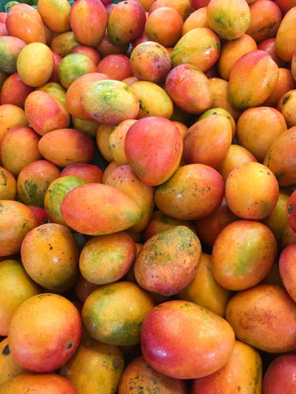 Mango | Cook for Your Life