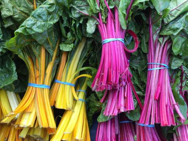 Tips About Using Chard in Meals | Cook for Your Life