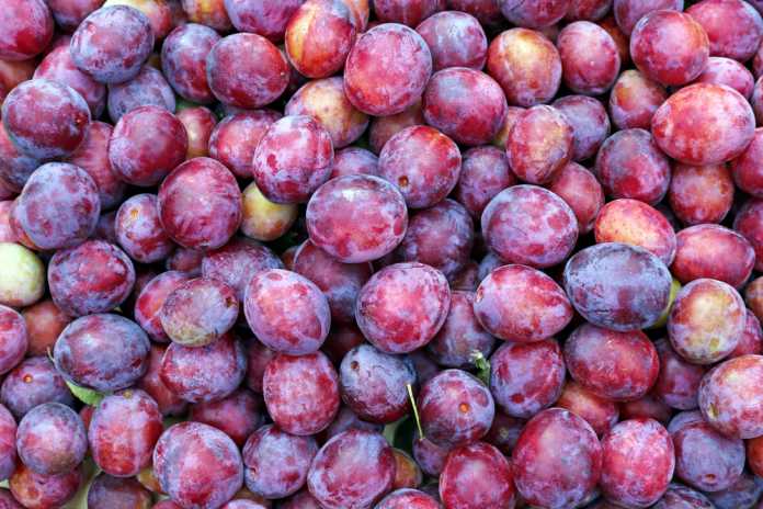Plums | Cook for Your Life
