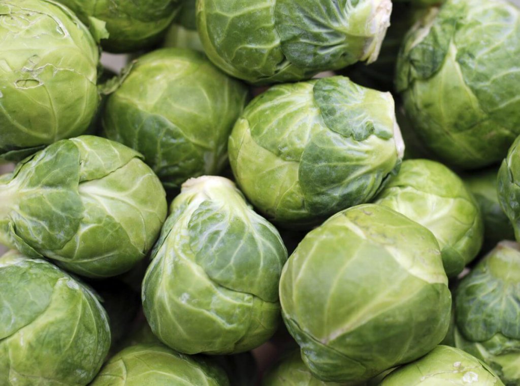 Coles de Bruselas | Cook for Your Life